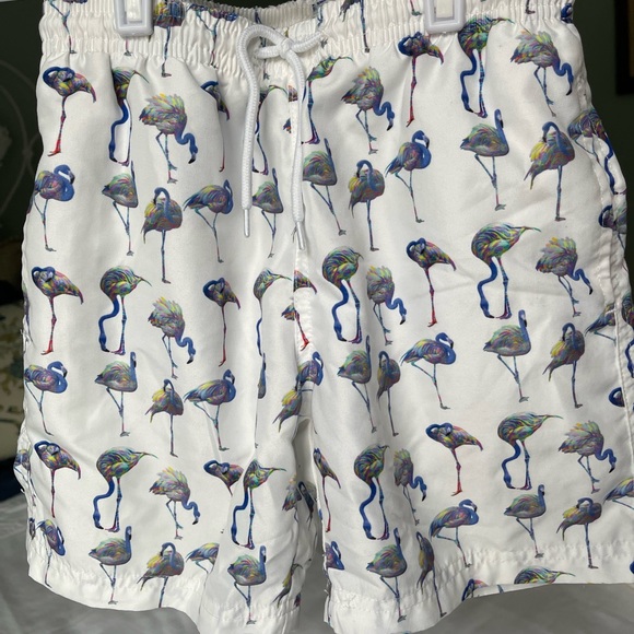 Stella Cove | Swim | Stella Cove Boys 6 Flamingo Swim Shorts Trunks ...